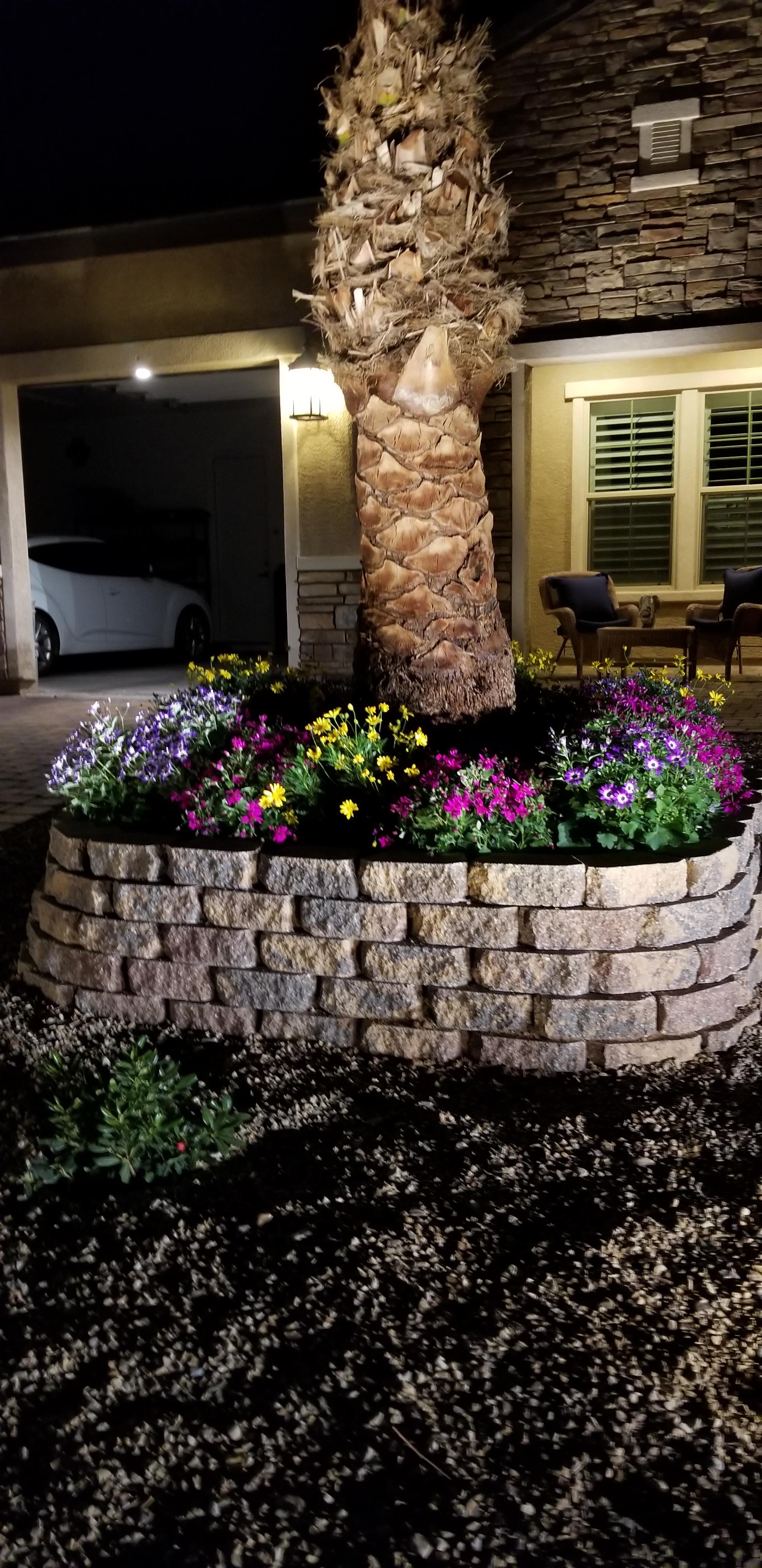 Outdoor Lighting Installation